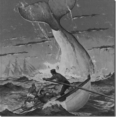 Moby Dick ¿Existió en realidad? / Grandes enigmas y misterios del mundo